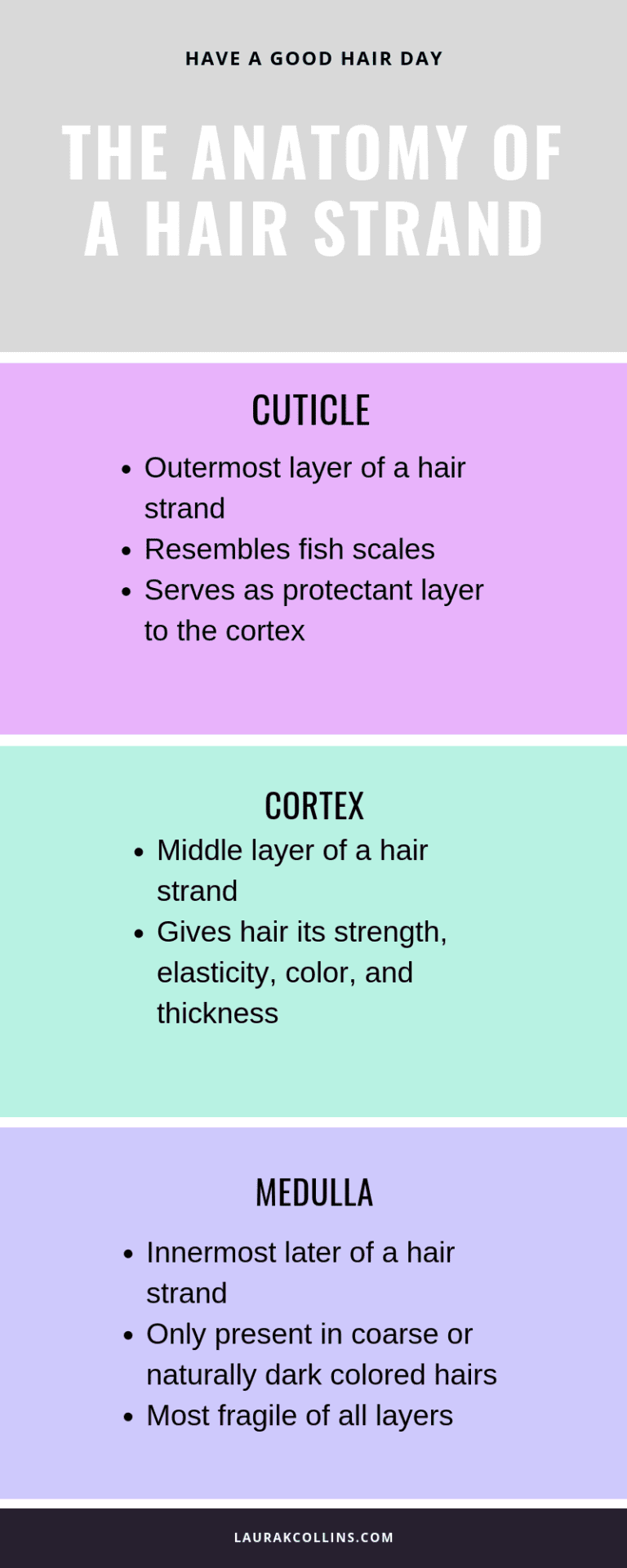 A Simple Guide to Hair Structure: The Cuticle, Cortex & Medulla – Laura ...