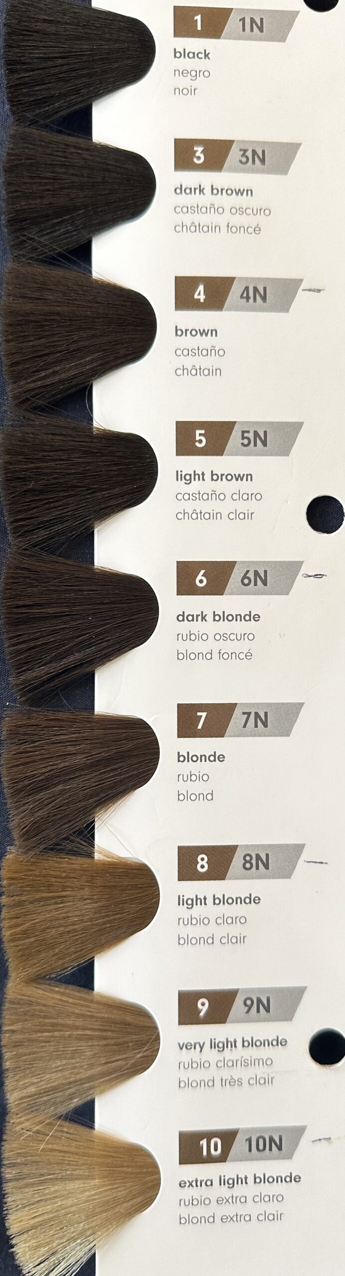 Amazing Dirty Blonde Vs Light Brown Gallery